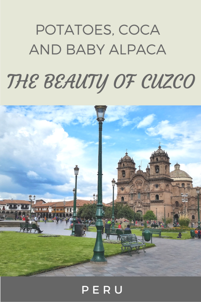 Potatoes, coca and baby alpacas: the beauty of Cuzco ...