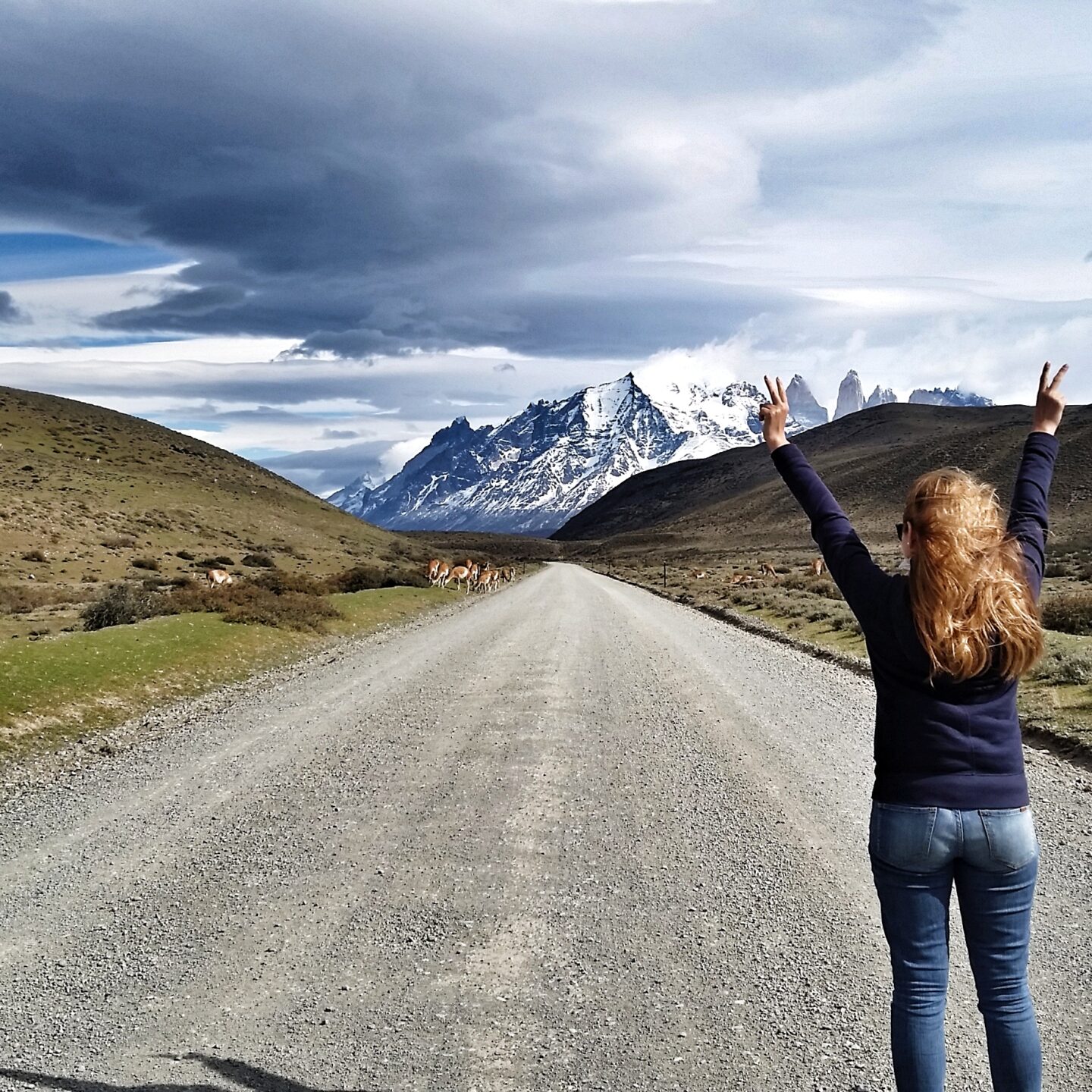 First timers guide to Kuwait City. - Postcards from the World