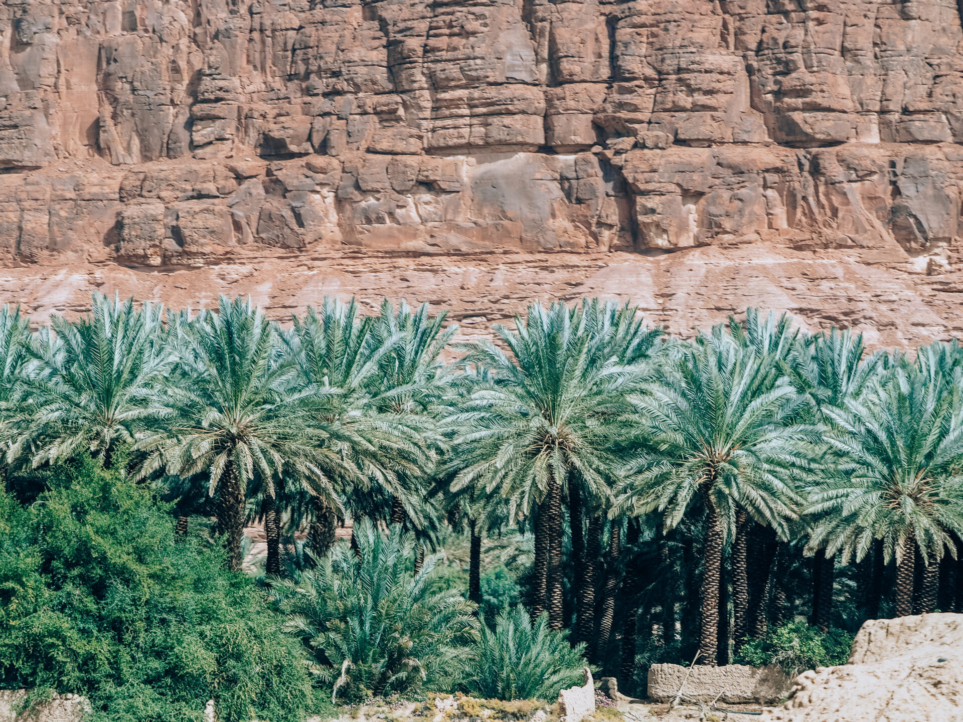 What to do in Al Ula, Saudi Arabia. All you need to know that nobody ...
